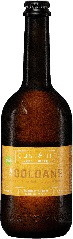 Birra "Goldans" BIO gustAhr Birra I Meraner Weinhaus