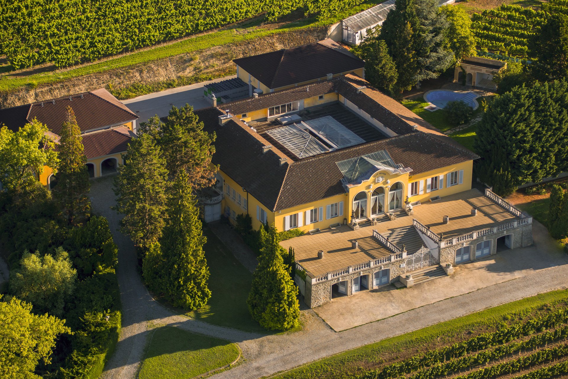 Weingut Sepp Moser Onlineshop I Meraner Weinhaus