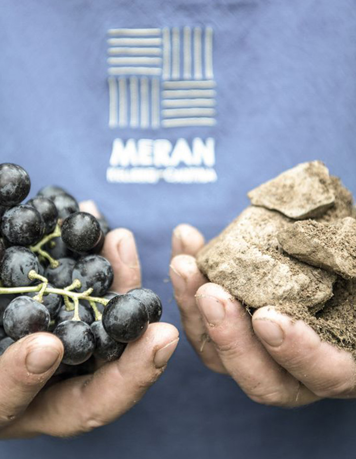 Meraner Weinhaus - Die besten Weine Italiens und der Welt