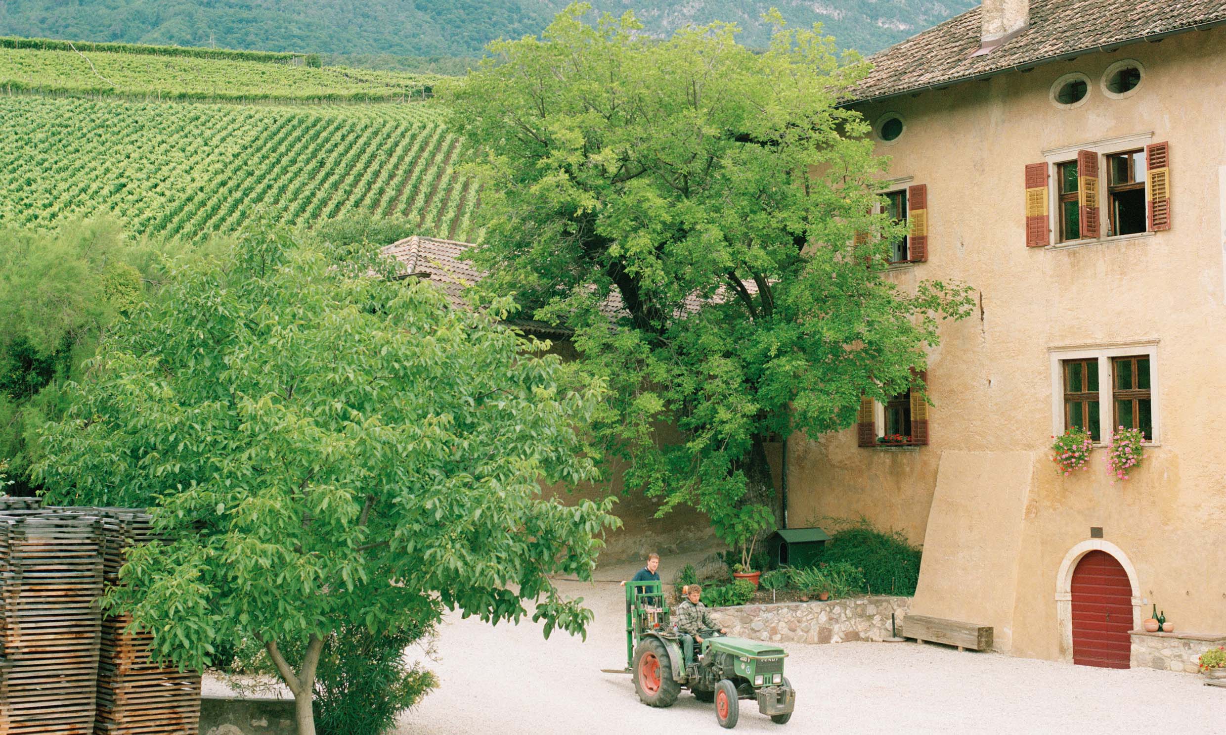 Weingut Manincor Onlineshop I Meraner Weinhaus